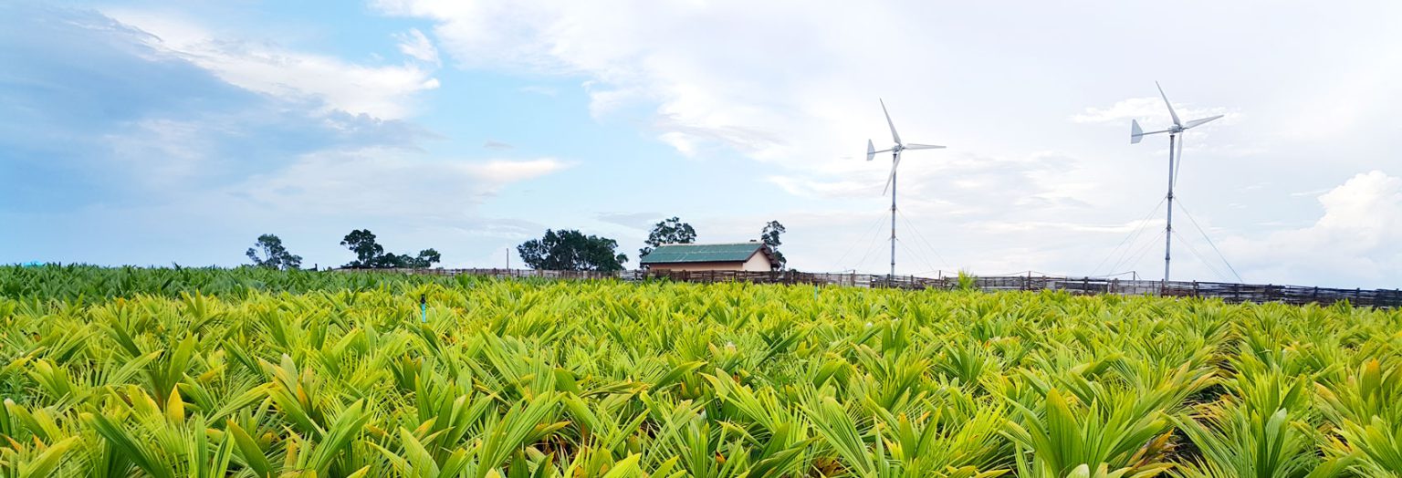 Food Security - Mega First Corporation Berhad