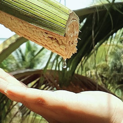 Food Security - Mega First Corporation Berhad